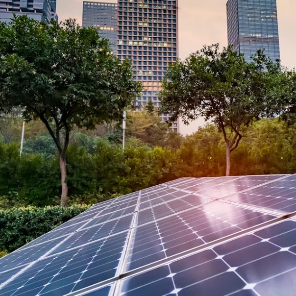 Renewable Energy - DHL - Global