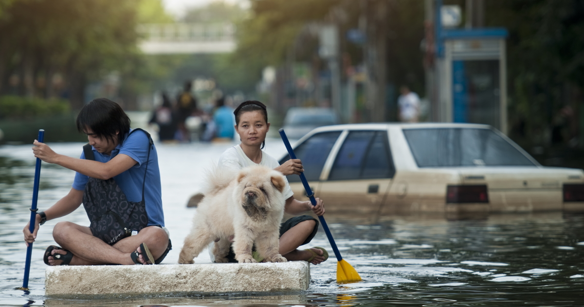 When disaster strikes: How do you build resilient supply chains ...