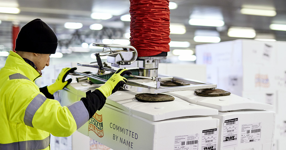 3PL vs. 4PL - Delivered - Global