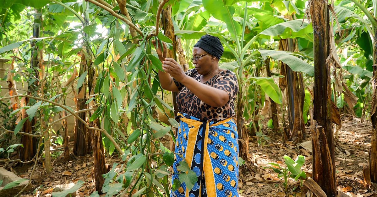 Fostering Sustainable & Inclusive Trade - Delivered - Global