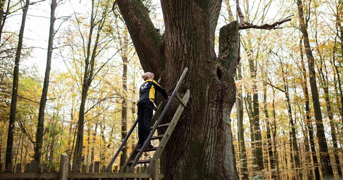 Ein Briefkasten mit romantischer Vorgeschichte - Zugestellt - Deutschland