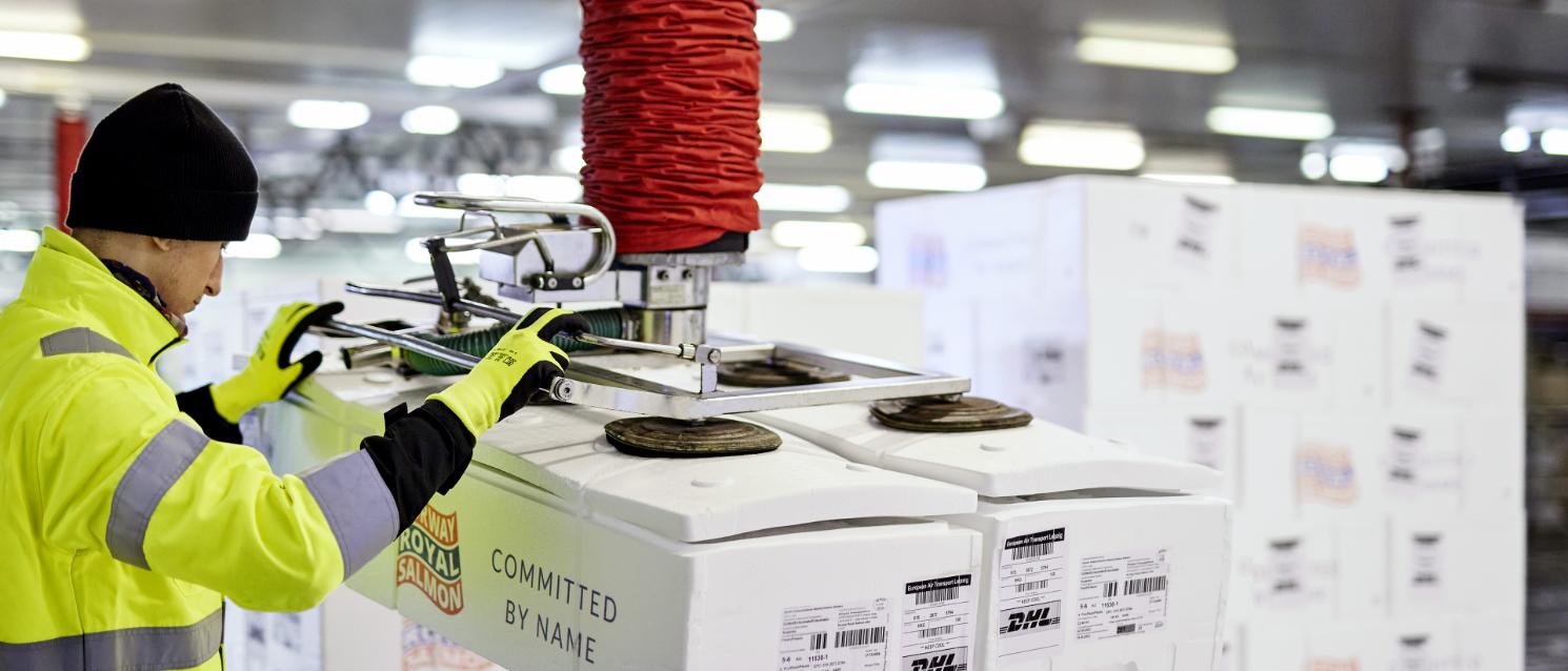 3PL vs. 4PL - Delivered - Global