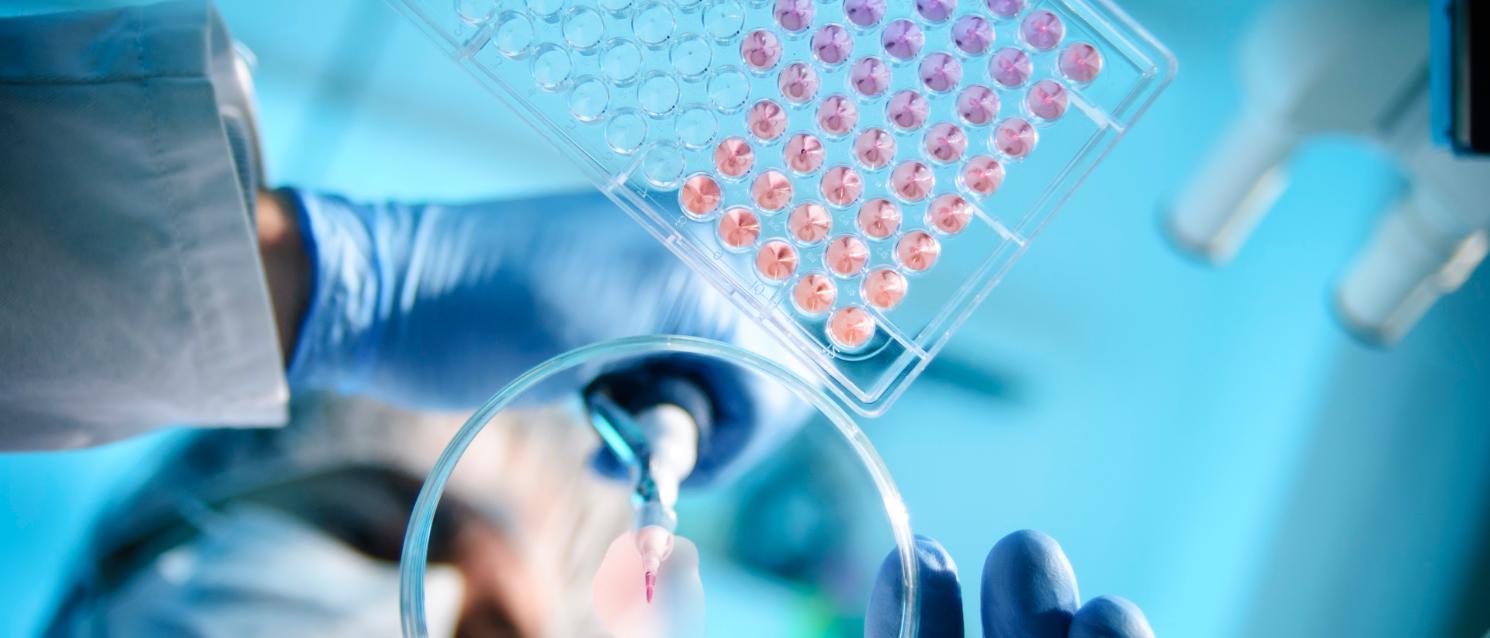 Inside Lab Logistics: From clinical trials to specialty treatments ...