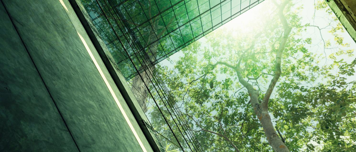 Anatomy of a carbon-neutral building - Delivered - Global