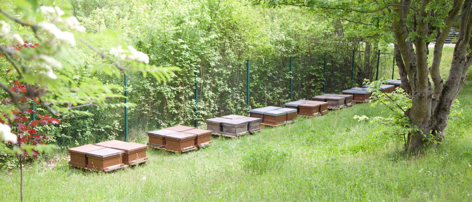 Zugestellt - Deutschland