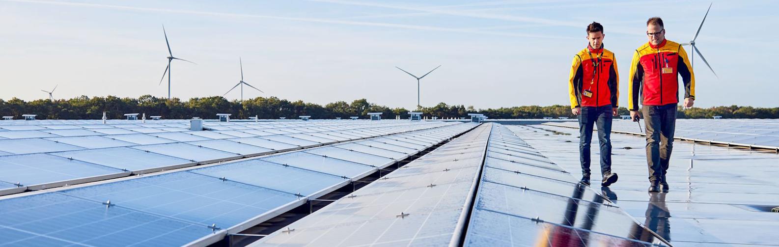 Anatomy of a carbon-neutral building - Delivered - Global