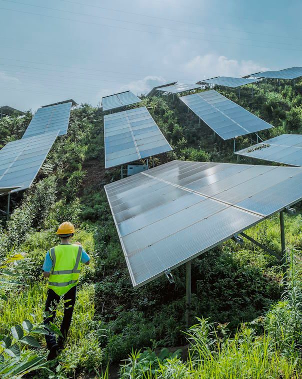 Decarbonization Strategies - Delivered - Global