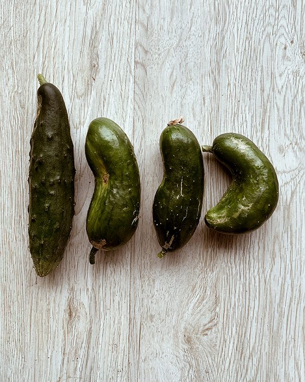 Food Logistics - Delivered - Global