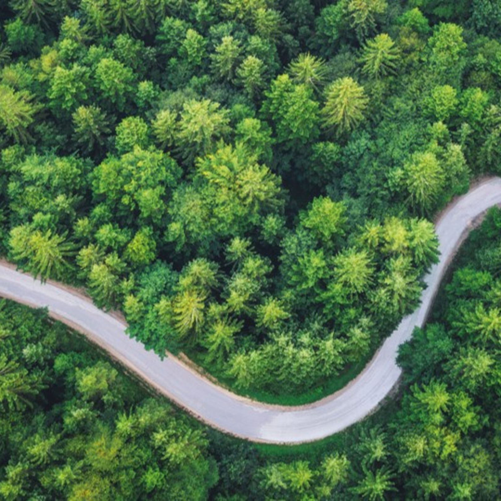 Decarbonization Levers: Far-Distant Future - DHL Global Forwarding - Canada