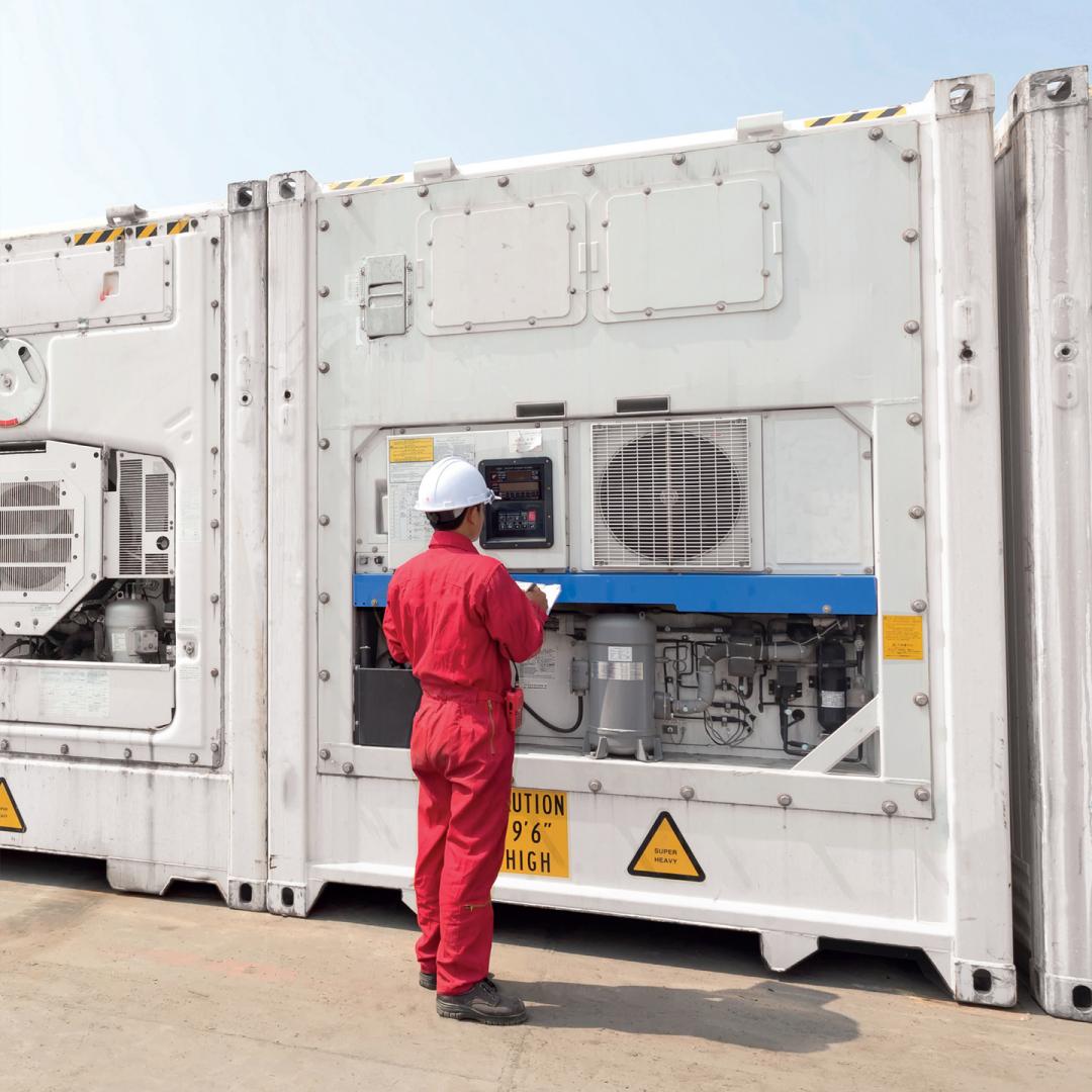 Perishables Expertise with DHL Reefer Foods - DHL Global Forwarding ...