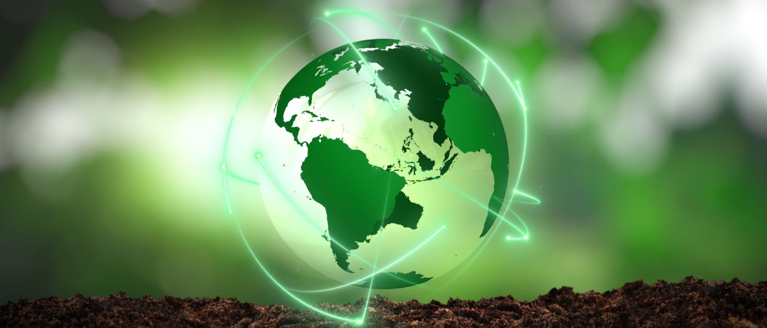 Save carbon, save costs: here’s how to make sustainable choices for ...