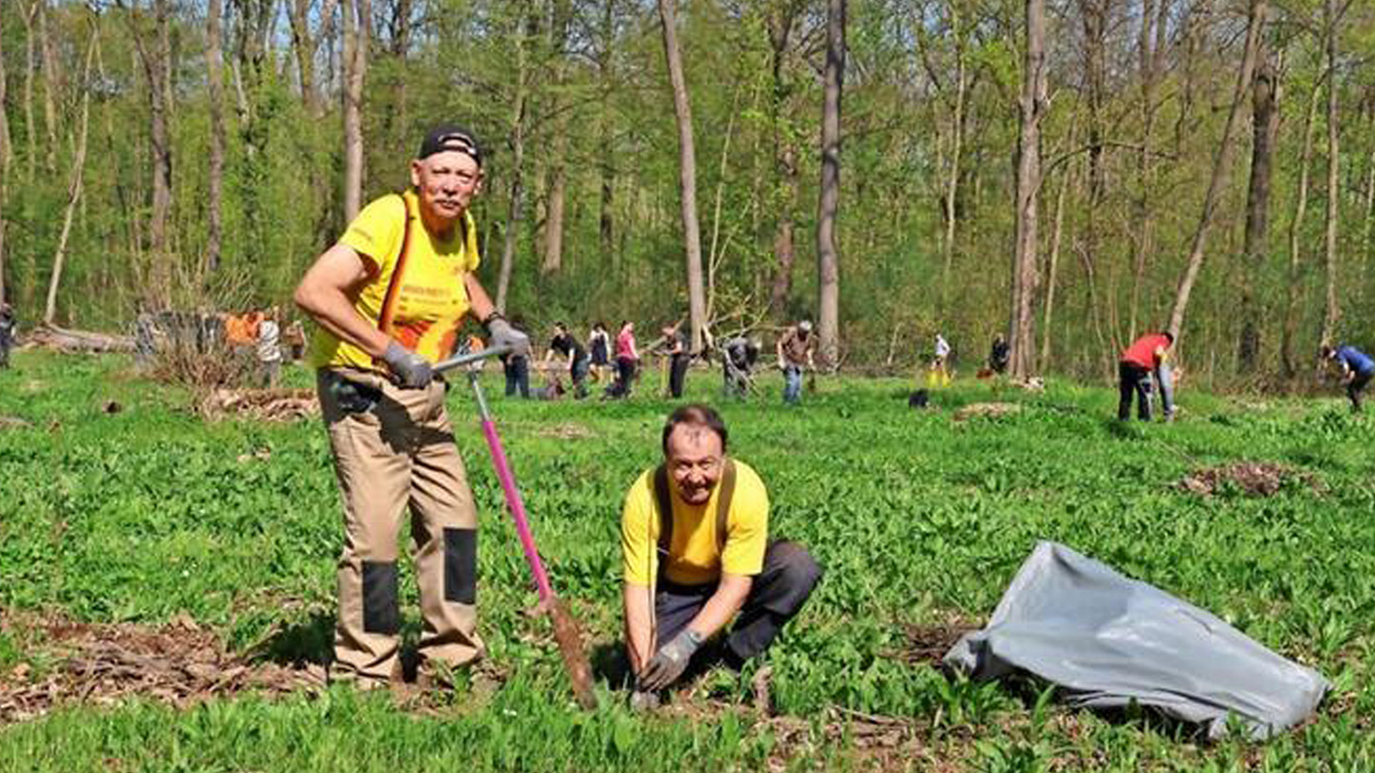 Reforestation Hub Leipzig - Hub Leipzig - Germany