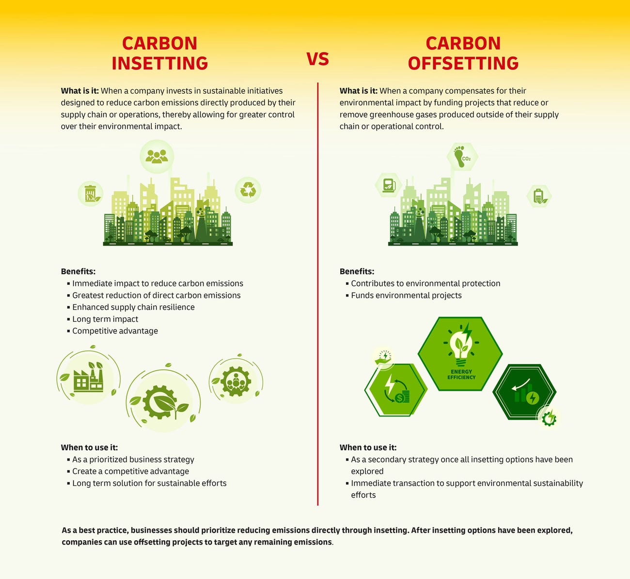 Guide to Carbon Emissions: Offsetting vs Insetting