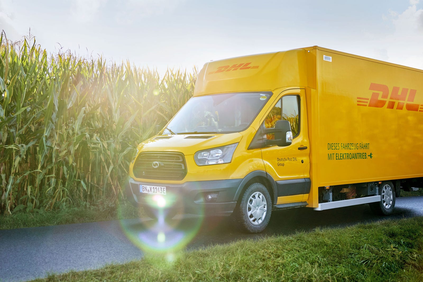 Eco-Friendly Packaging for Global Shipping: Business Benefits | DHL Malaysia