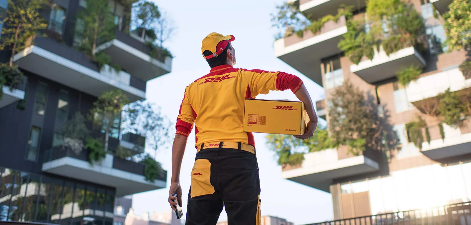 How to Order Packaging Supplies Online | DHL Express Singapore