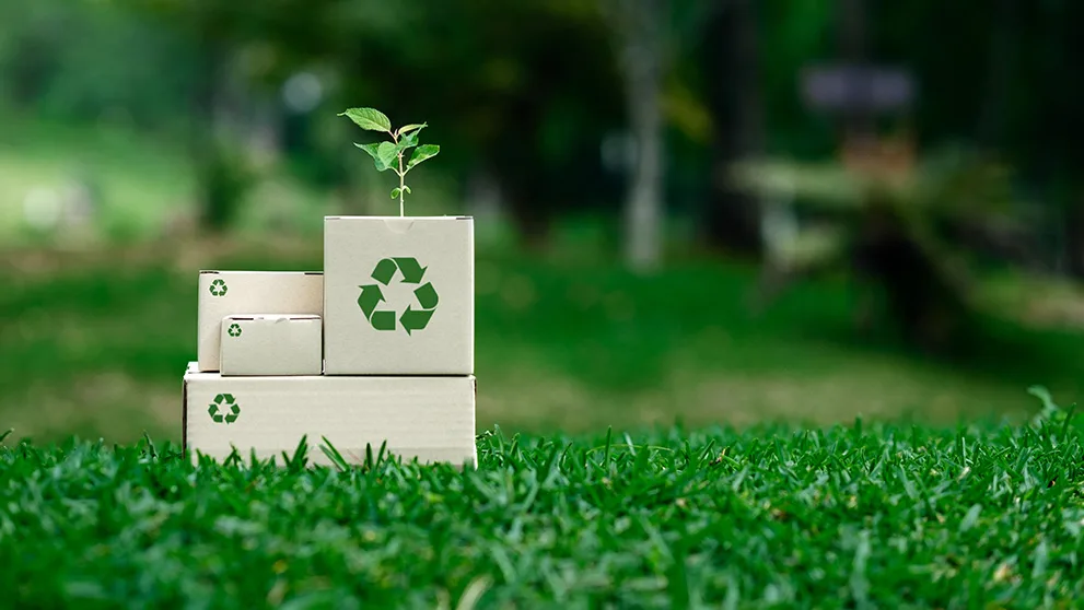 Sustainable Packaging Trends: Insights You Must Know in 2026 | DHL Global
