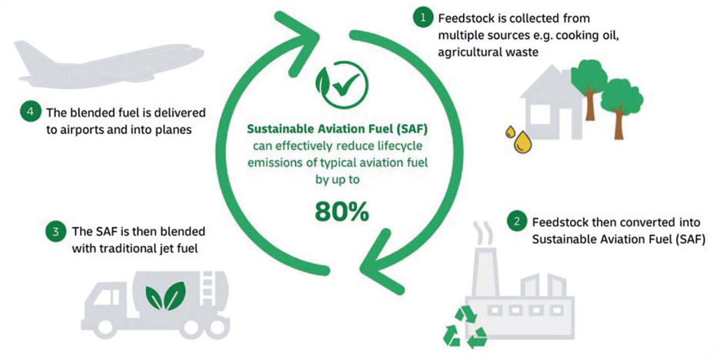 GoGreen Plus: Your logistic path to a greener future