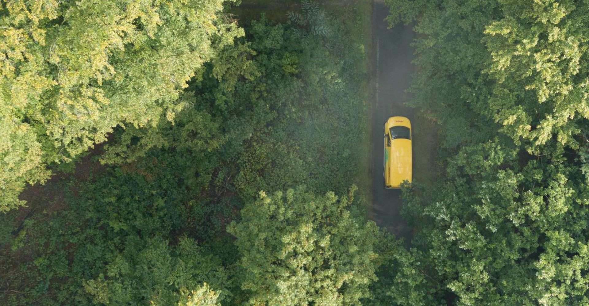 Learn ESG & Green Logistics For Businesses in Malaysia | DHL Malaysia