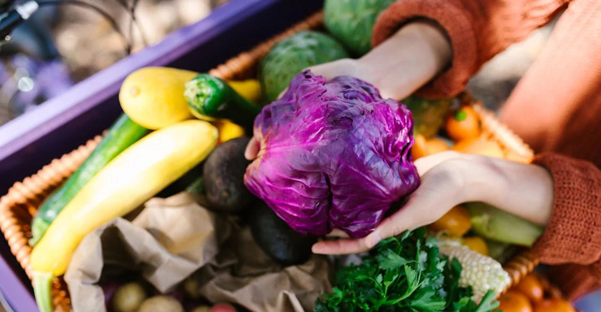 New Zealand Import Guide on Perishable Food DHL Express NZ DHL New Zealand
