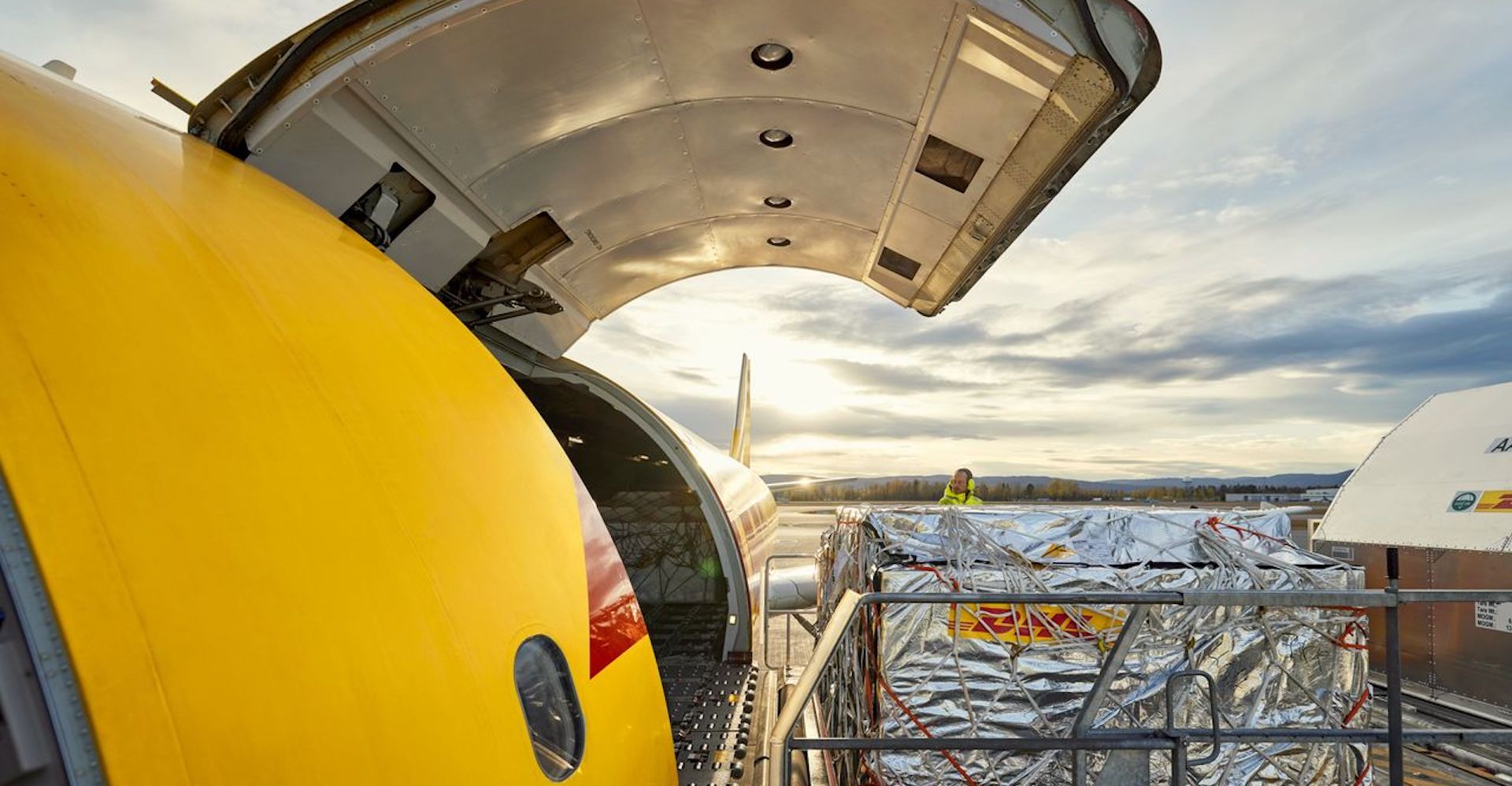 Quick guide on importing food into Singapore | DHL Express Singapore