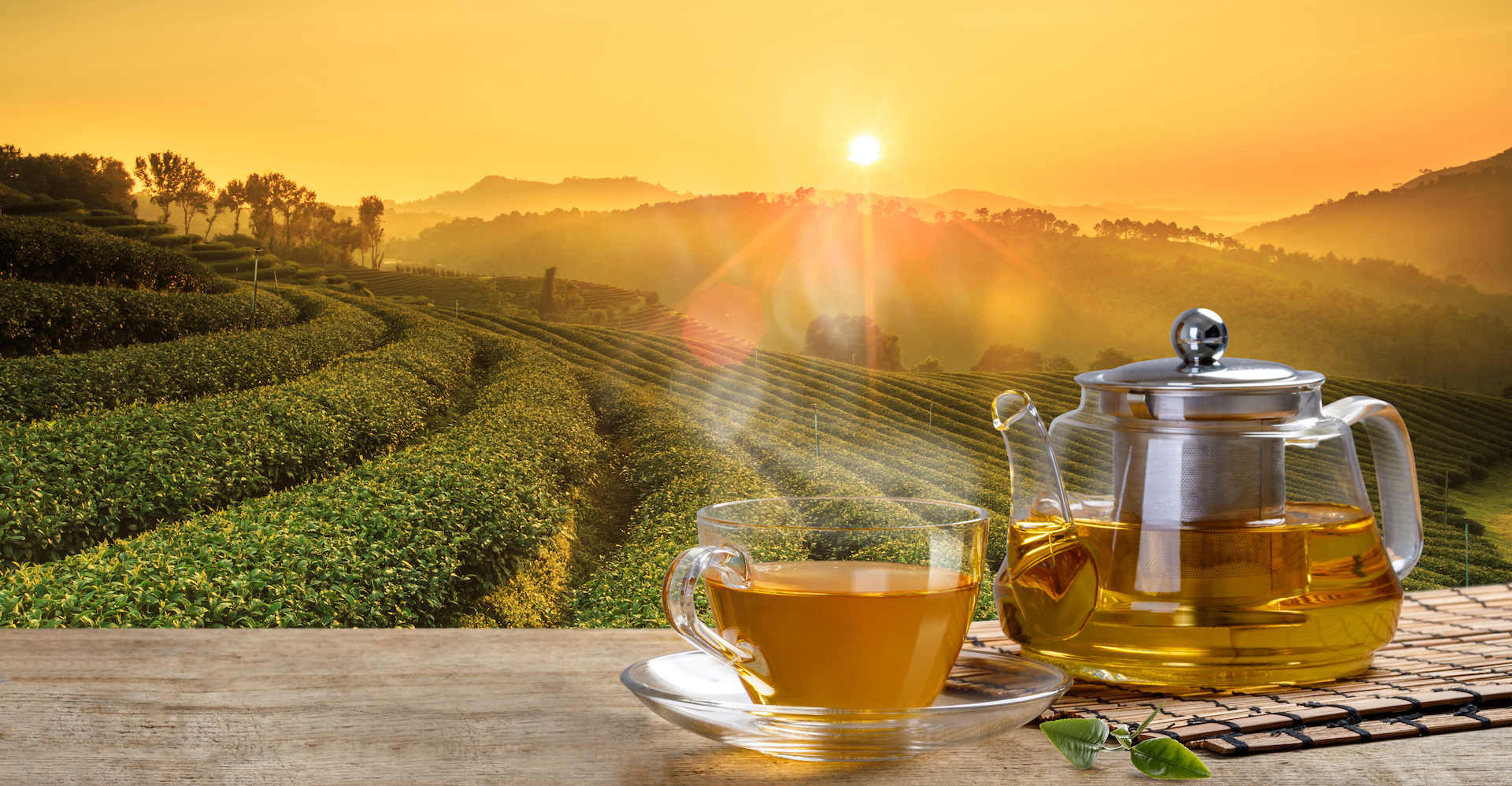 A guide to shipping tea from Sri Lanka’s plantations | DHL Sri Lanka
