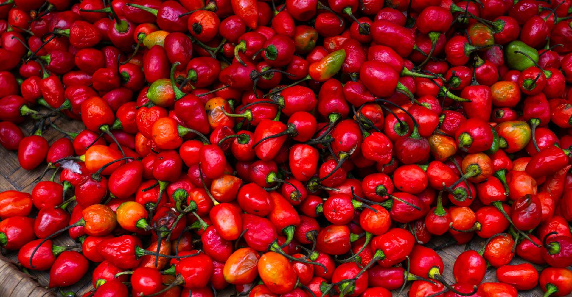A Guide to Spicing Up Trade: Exporting Sri Lankan Peppers | DHL Sri Lanka