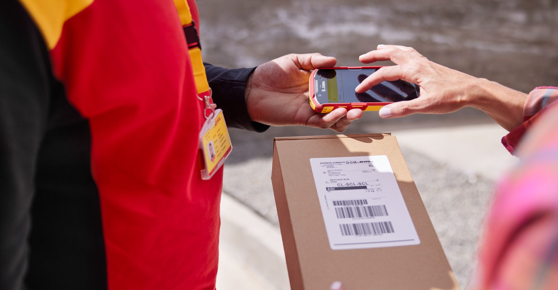 GoGreen Sustainable Packaging Boxes - DHL Express Thailand | DHL Thailand