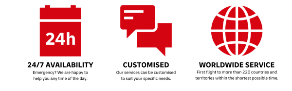 Special Services and Same Day | DHL IE